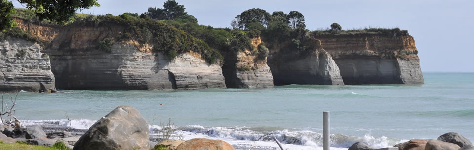 Urenui Beach Camp - CAMPERVAN
